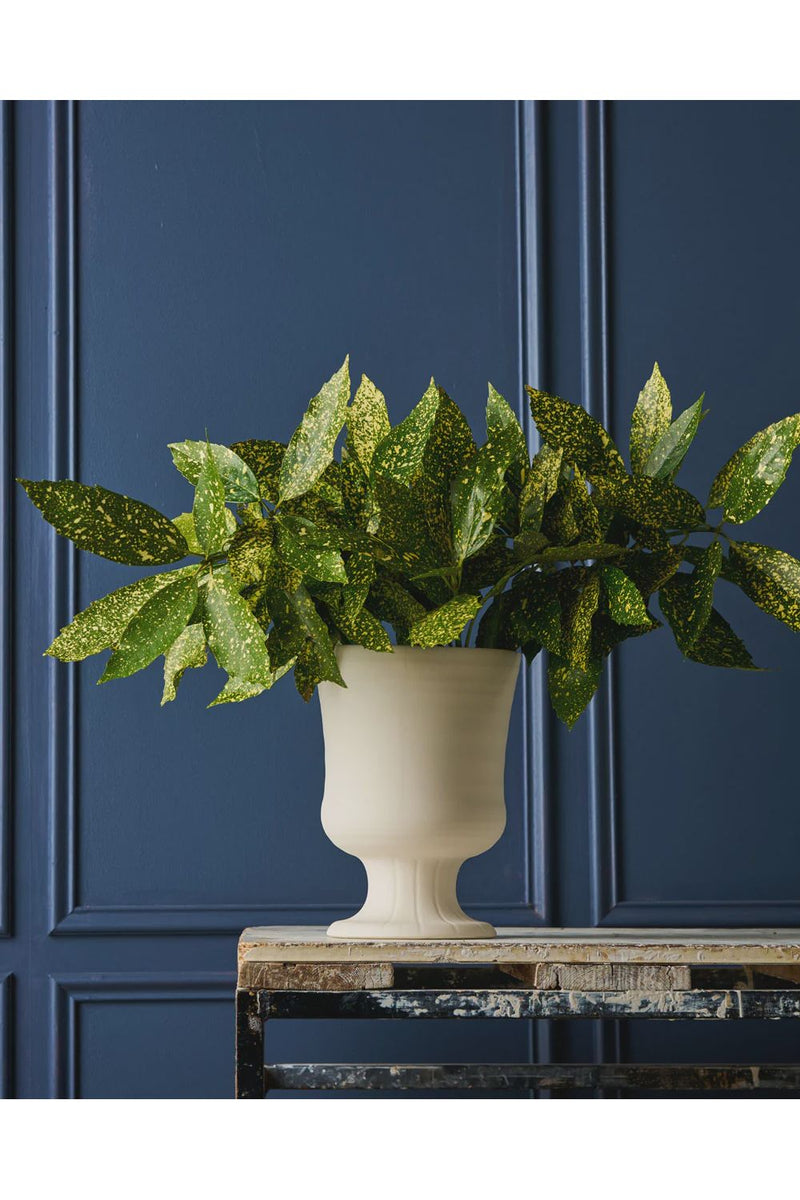 Robert Gordon | Trophy Life Vintage White Devon Vase | Crisp Home + Wear